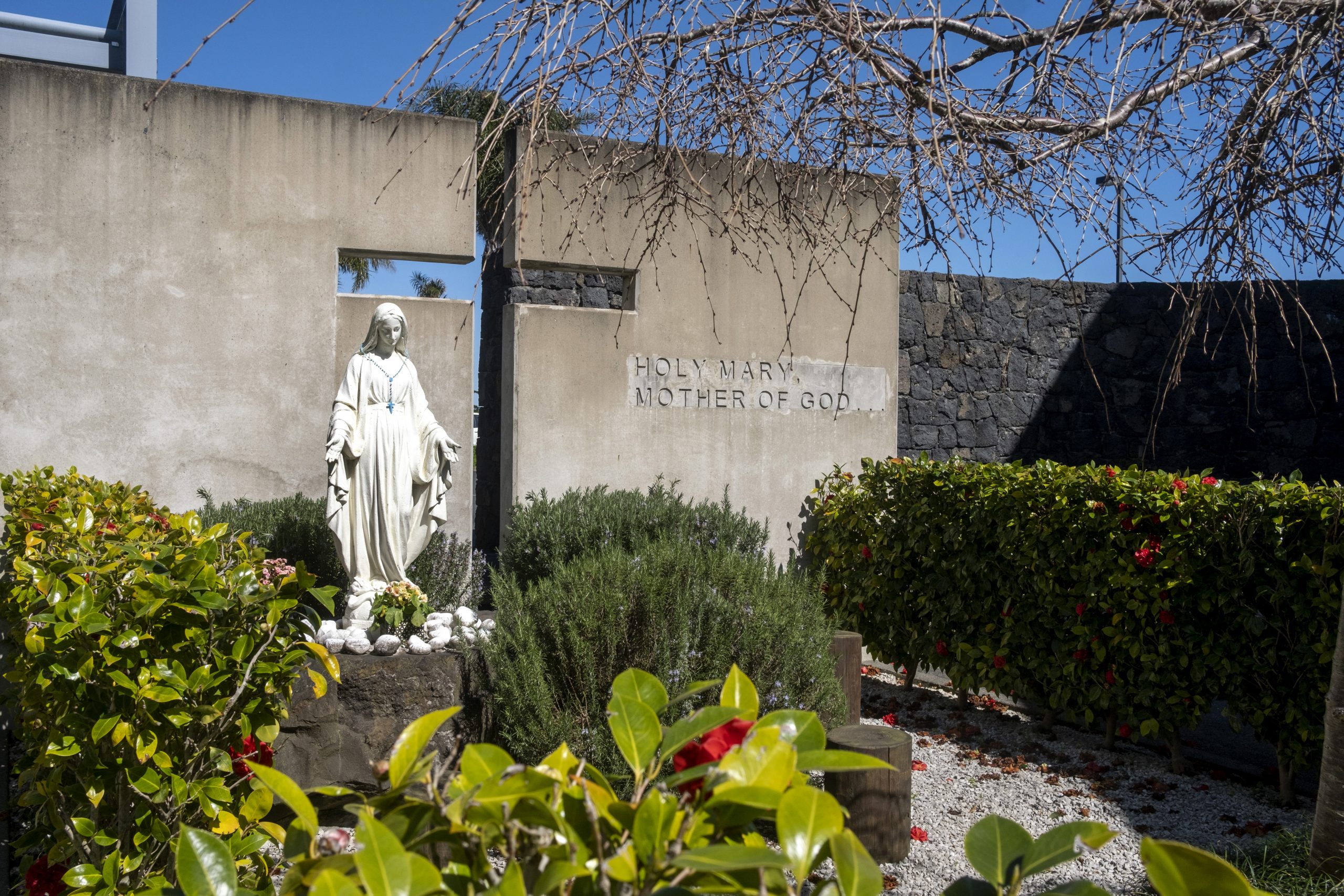 Special Character Message | Sancta Maria College News